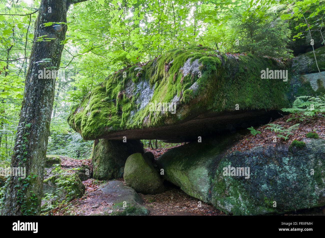 Group of granit rocks, castle grounds at Falkenstein, Falkenstein ...