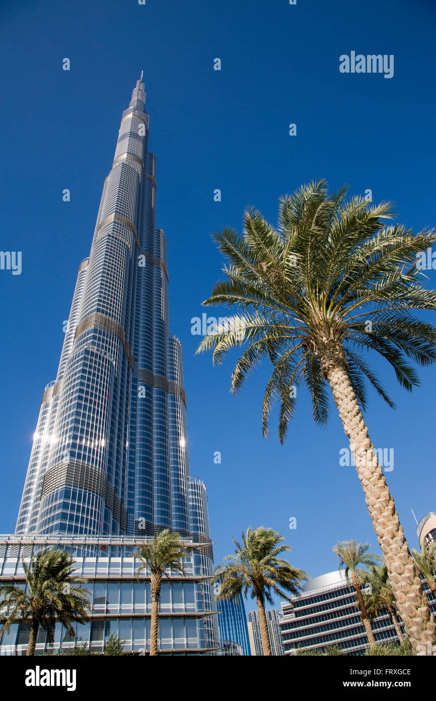 Dubai palm trees hi-res stock photography and images - Alamy