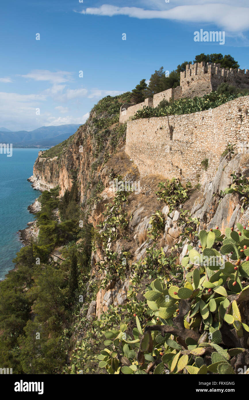 Opuntia cactus on the hillside of Acronauplia with coastline, Nafplio ...