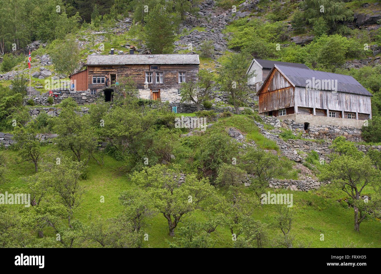 Matvik, Last abandonned farm in the fjord in 1961, Geiranger fjorden ...