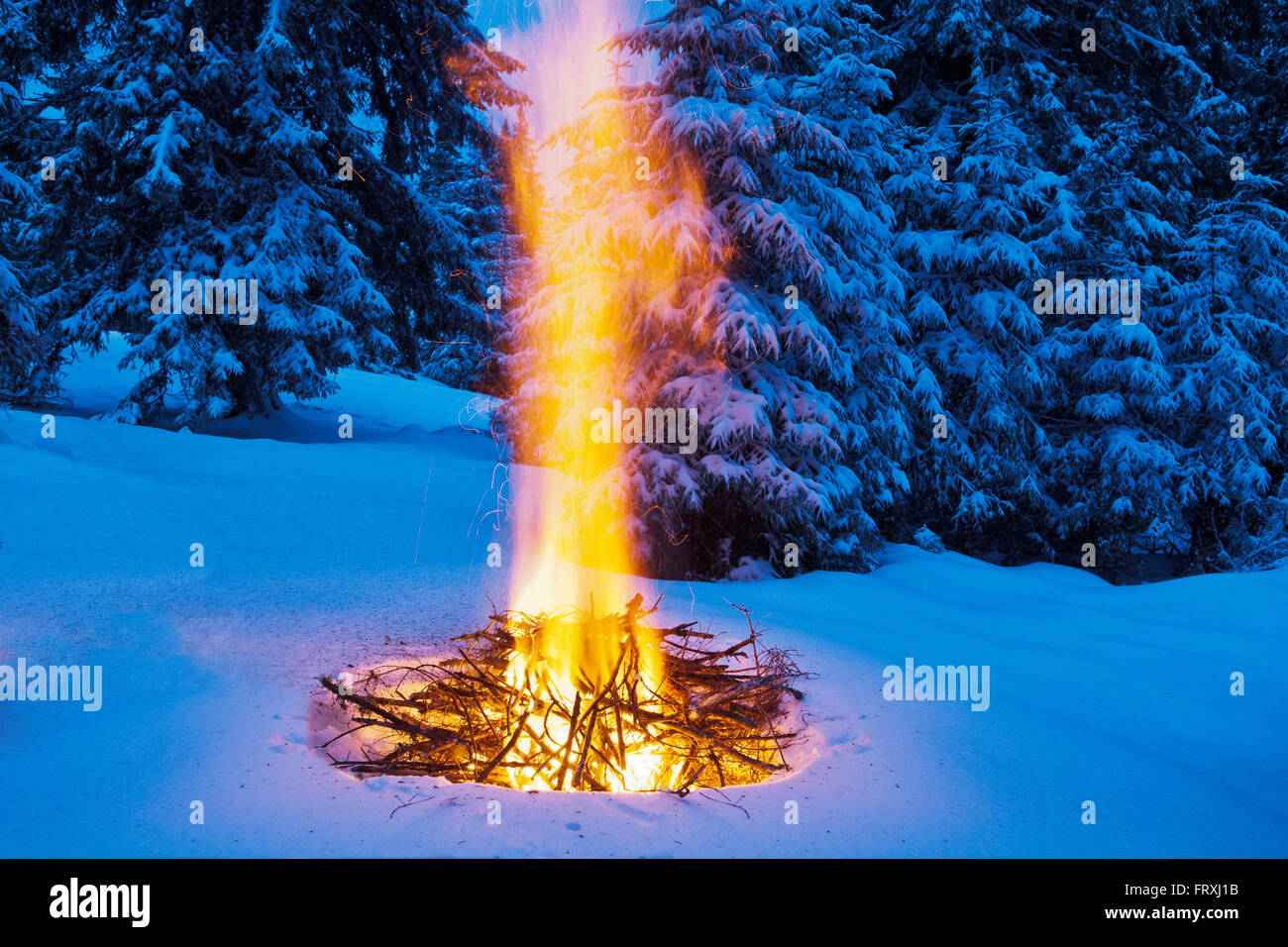 Bonfire on snow fir forest Stock Photo - Alamy