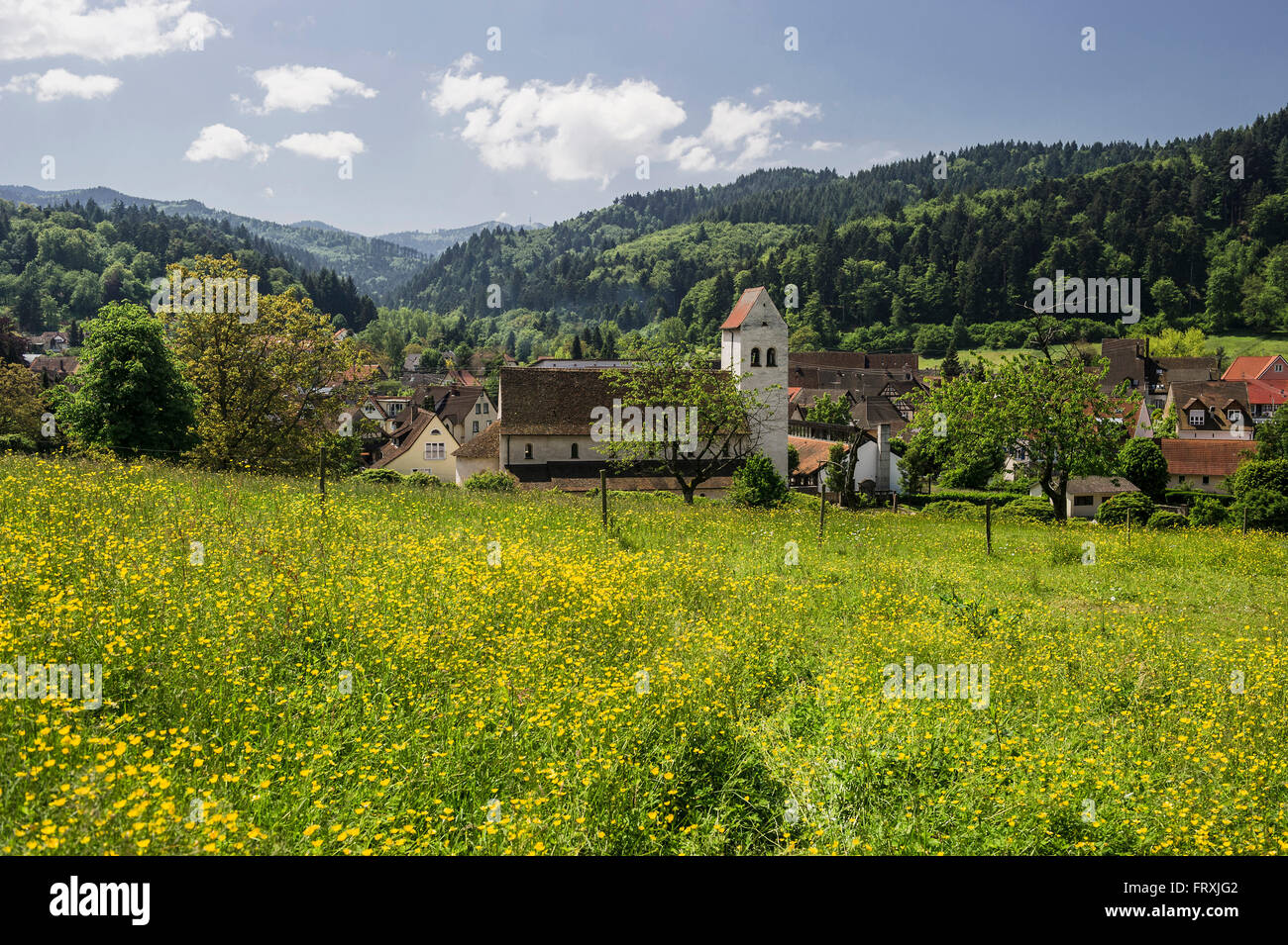 Sulzburg near Muellheim, Black Forest, Baden-Wuerttemberg, Germany ...