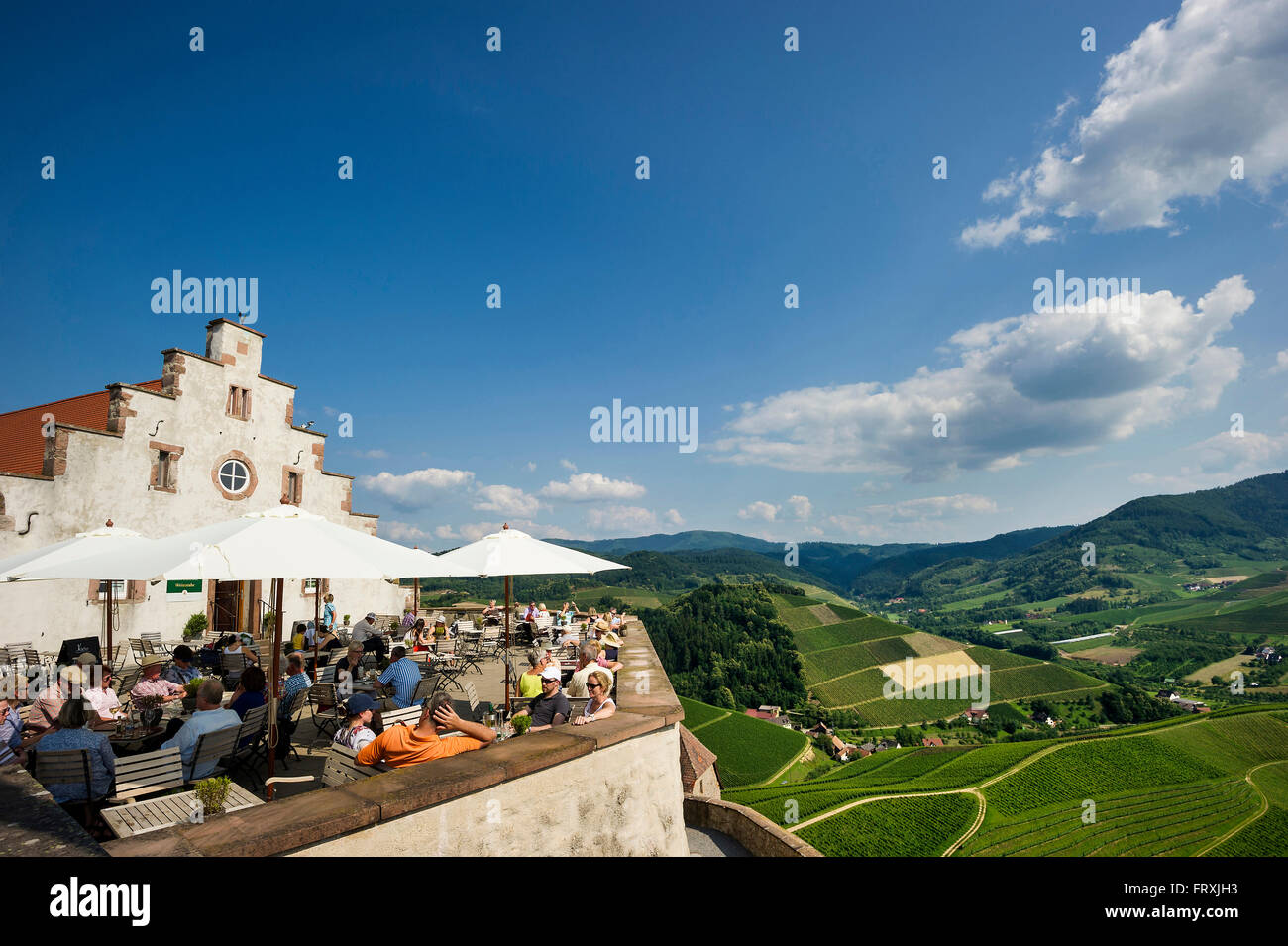 Staufenberg Castle, Durbach, Ortenau, Black Forest, Baden-Wuerttemberg ...
