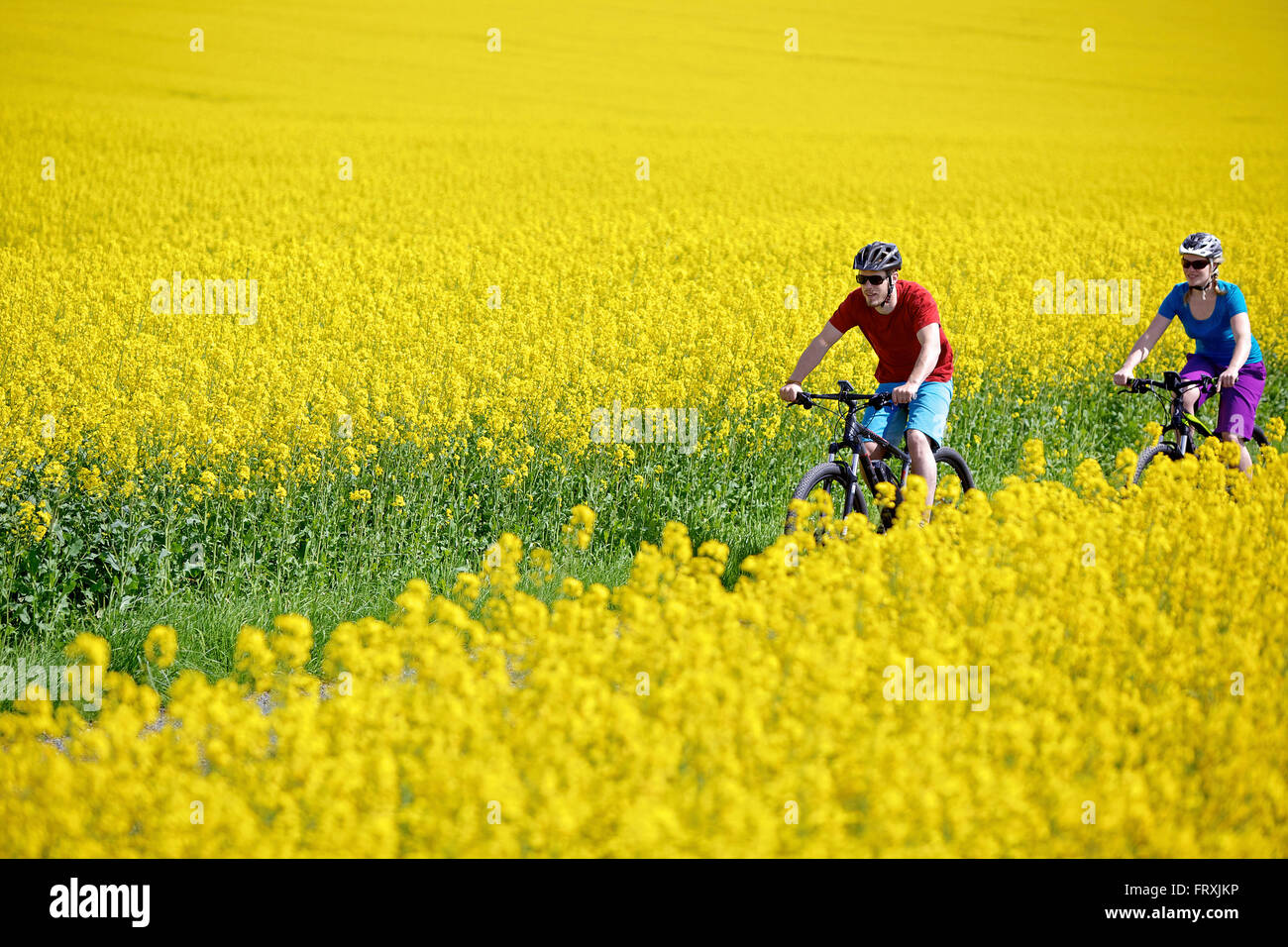 Two cyclists with electric bicycles between blooming canola fields ...