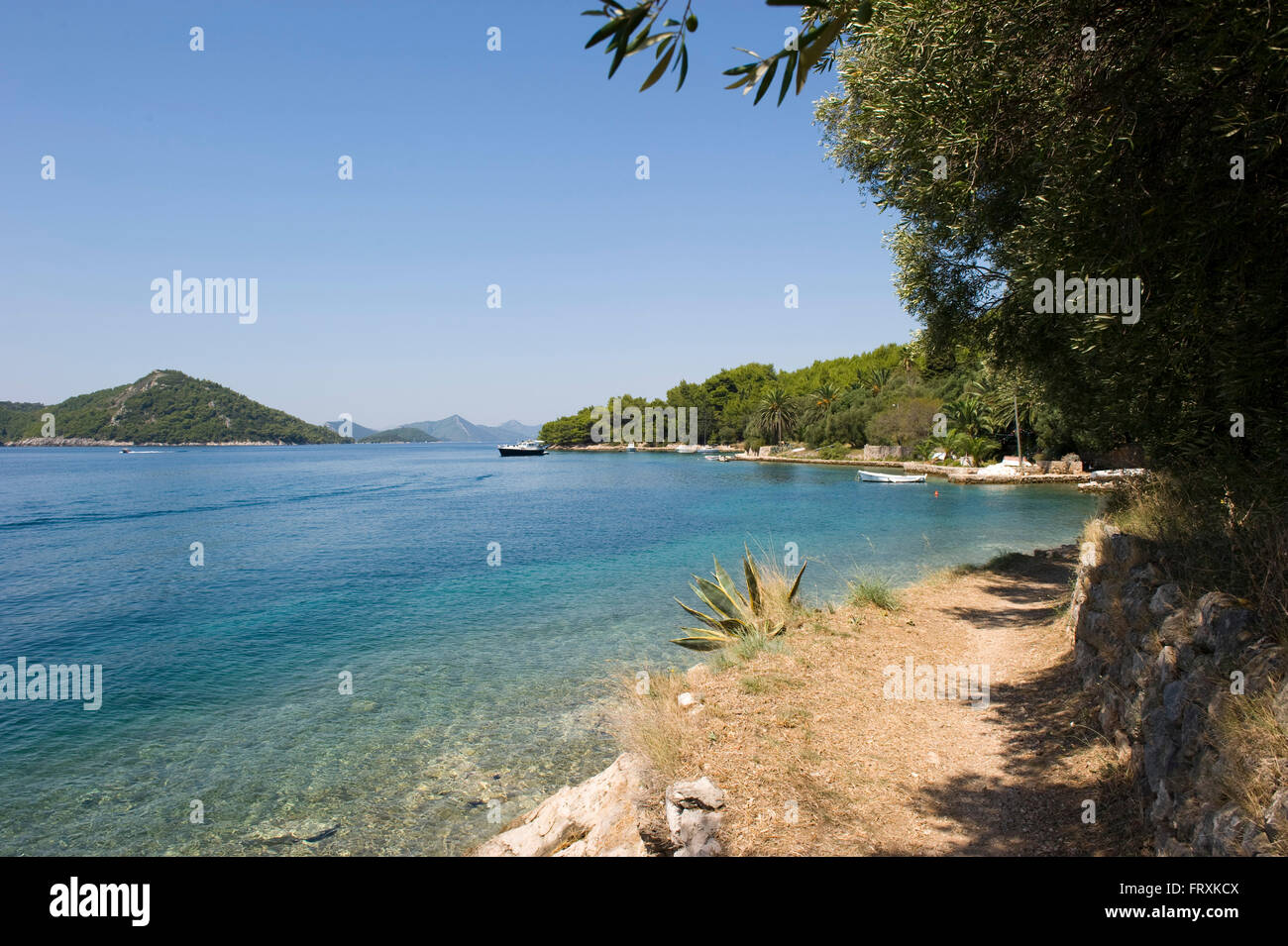 Coast scenery, Sipan, Elaphites, Croatia Stock Photo - Alamy