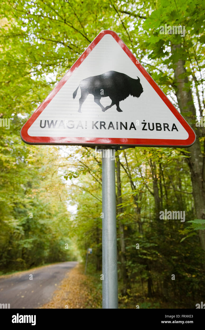Bialowieza forest sign hi-res stock photography and images - Alamy
