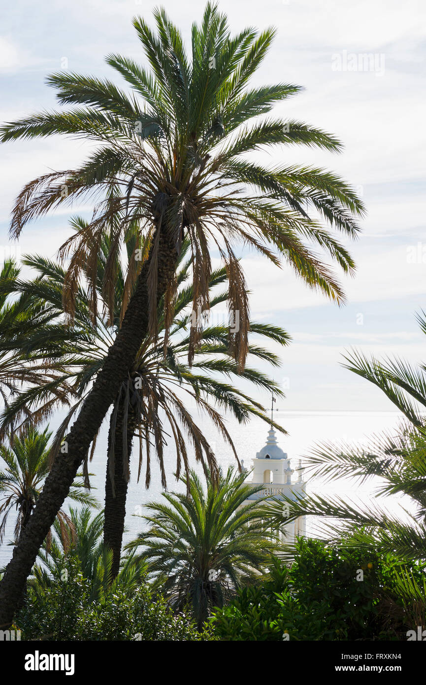 Architecture palm trees hi-res stock photography and images - Alamy