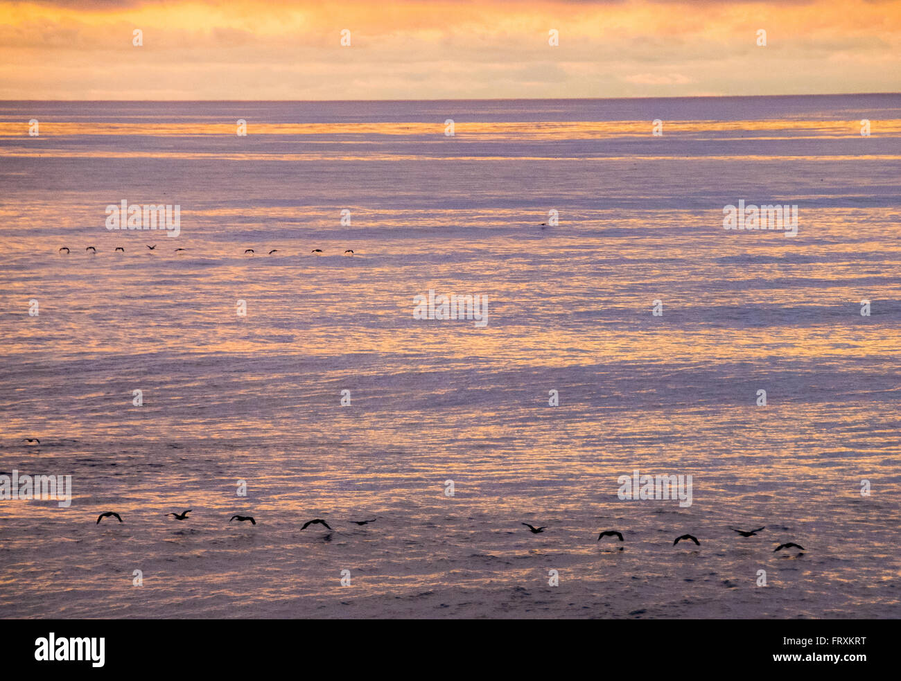 Ocean surface during sunset hi-res stock photography and images - Alamy