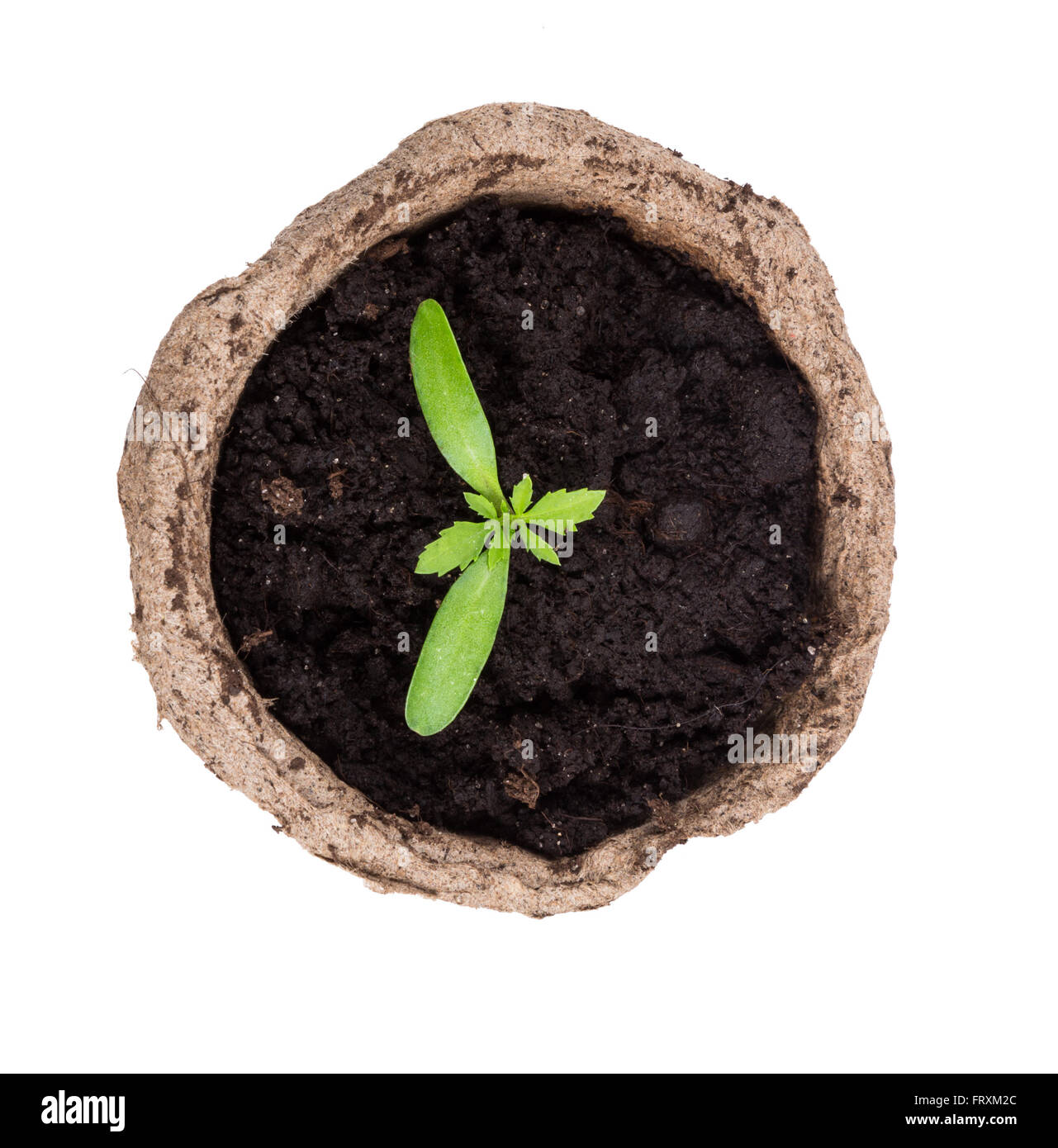 Turf cultivation Cut Out Stock Images & Pictures - Alamy