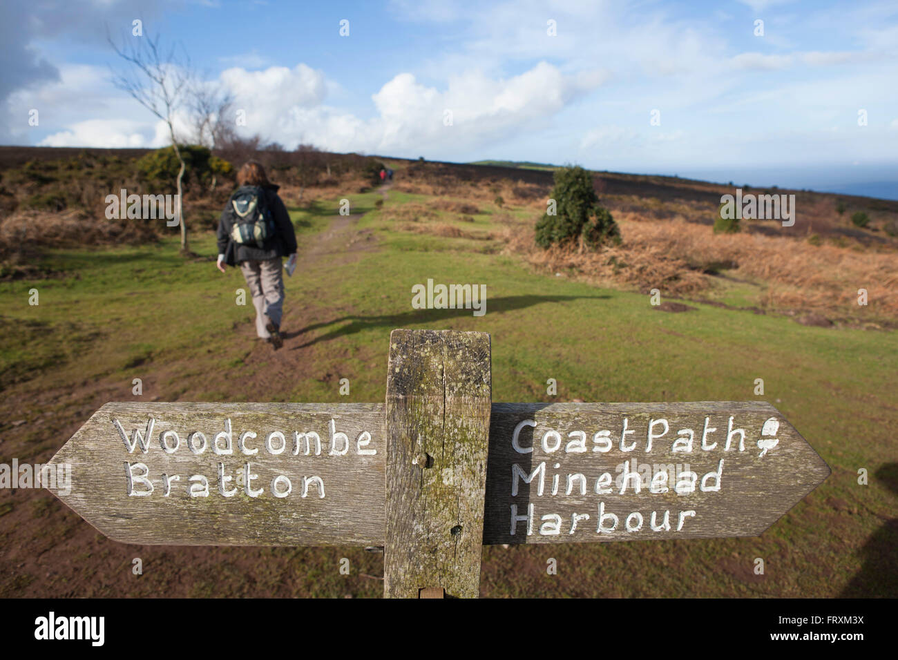 South west coastal path minehead hi-res stock photography and images ...