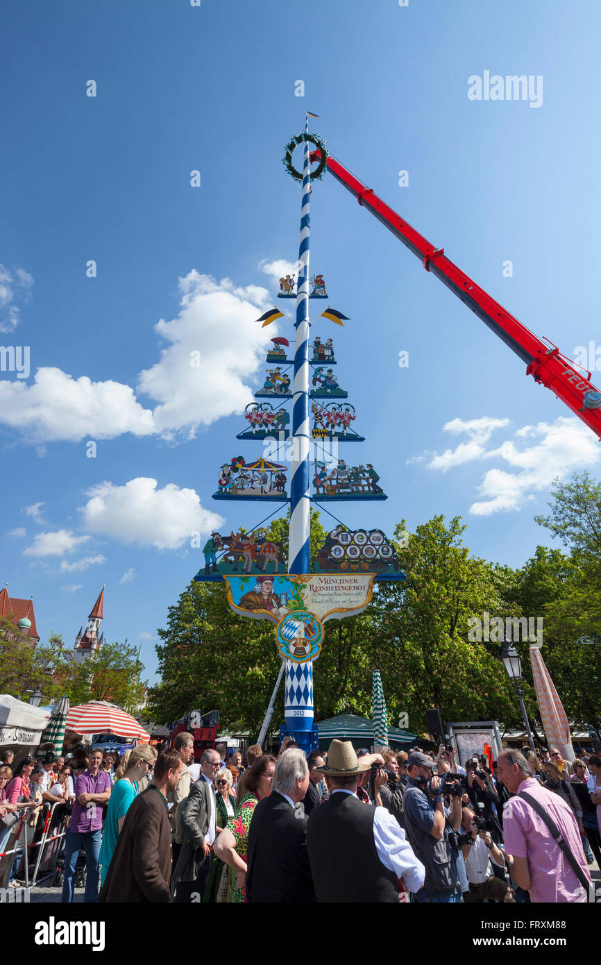 1st may, putting up the maypole, Viktualienmarkt, Munich, Upper Bavaria ...
