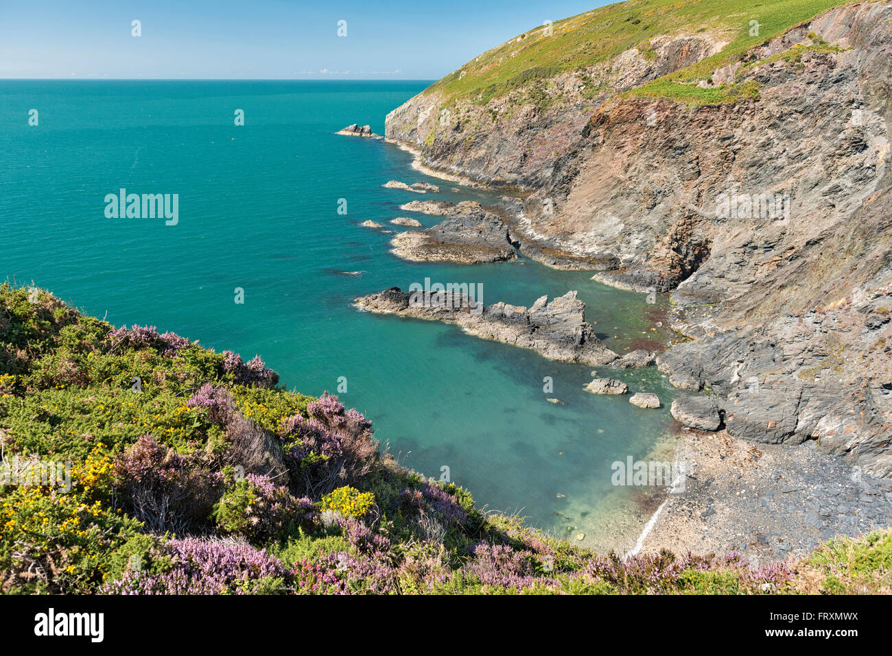 UK, Wales, Dinas Head peninsula at Pembrokeshire Coast National Park near Newport Stock Photo ...