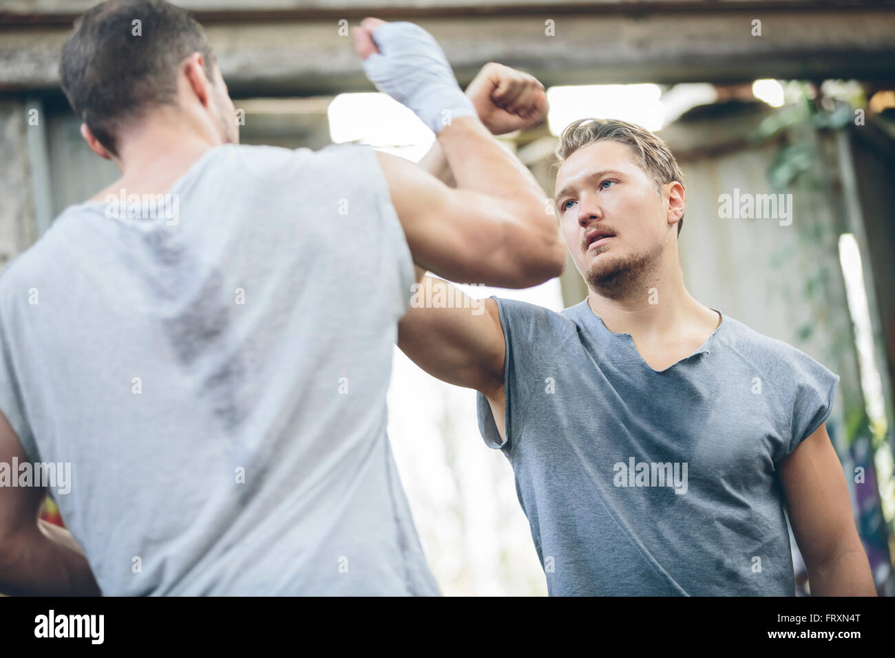 Two boxers greeting each other Stock Photo - Alamy