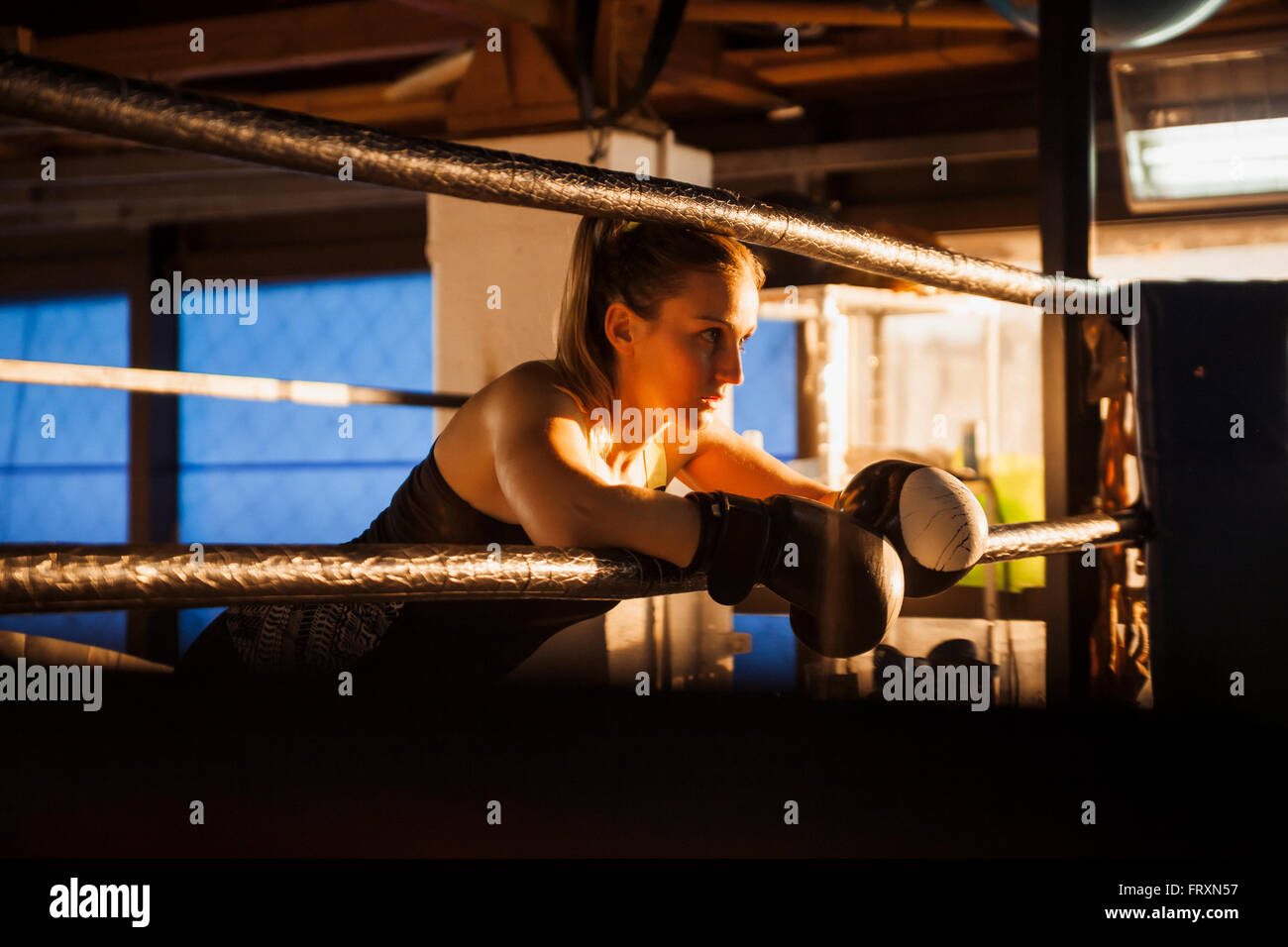 Female boxer taking a rest Stock Photo - Alamy