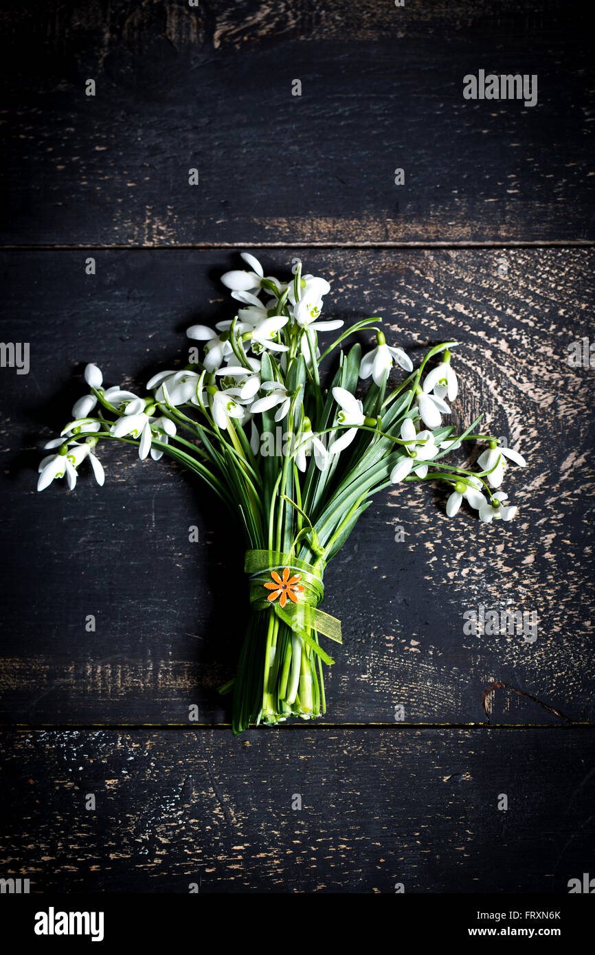 Bunch of snowdrops on dark wood Stock Photo - Alamy