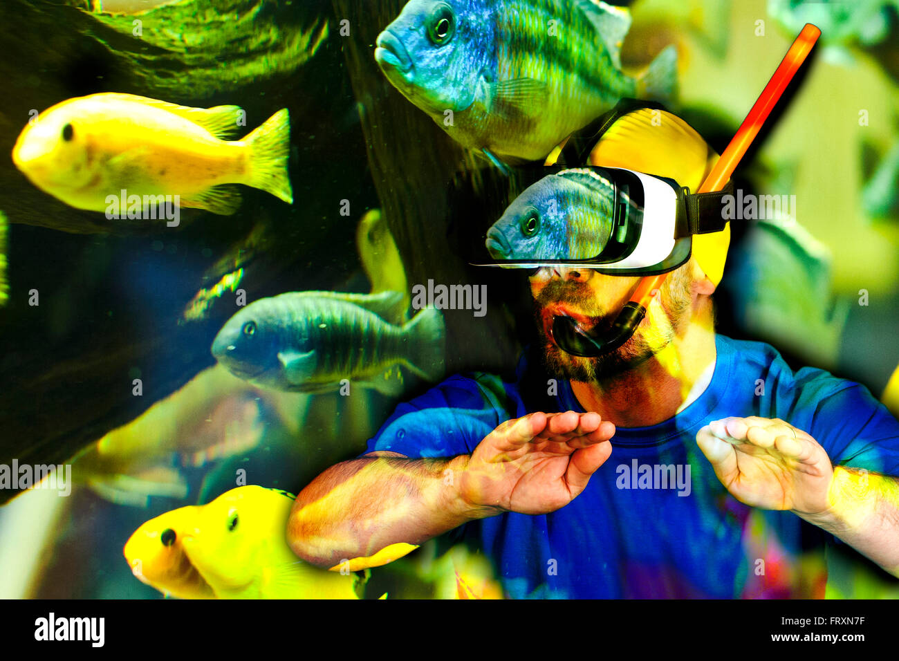 Virtual world exploration hi-res stock photography and images - Alamy