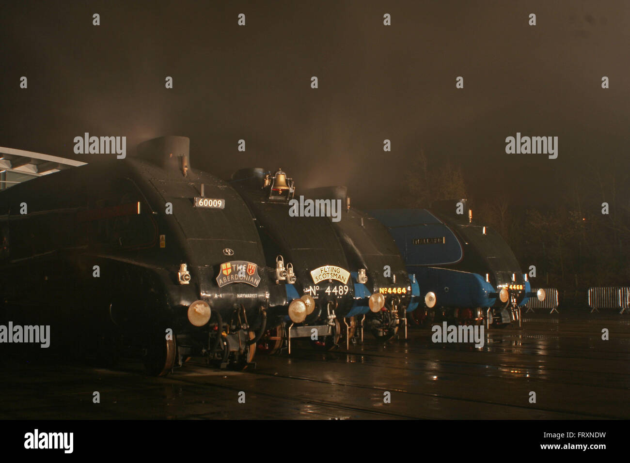 The Great Gathering by Steve Hovington Stock Photo - Alamy