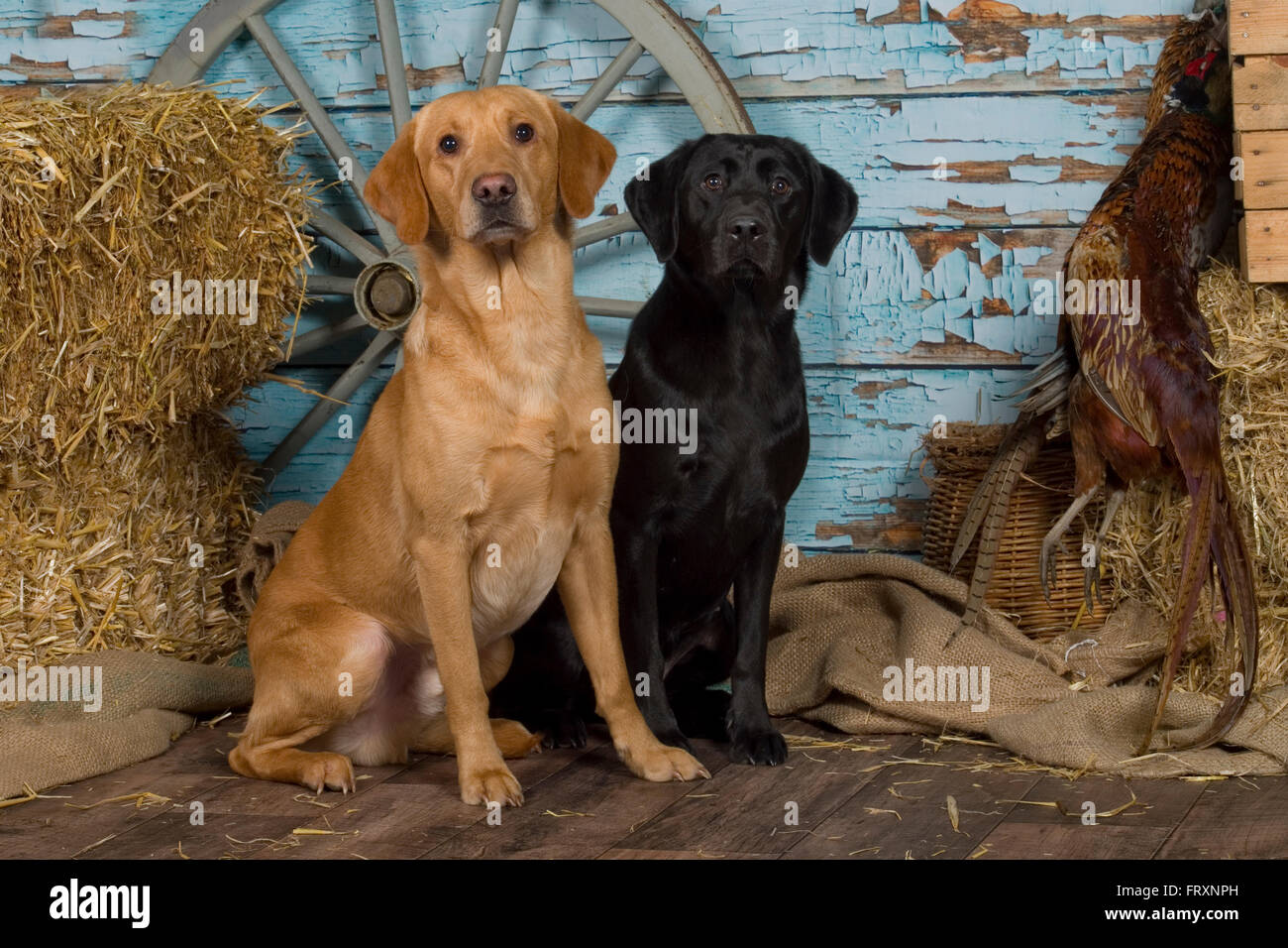 Black Barn High Resolution Stock Photography and Images - Alamy