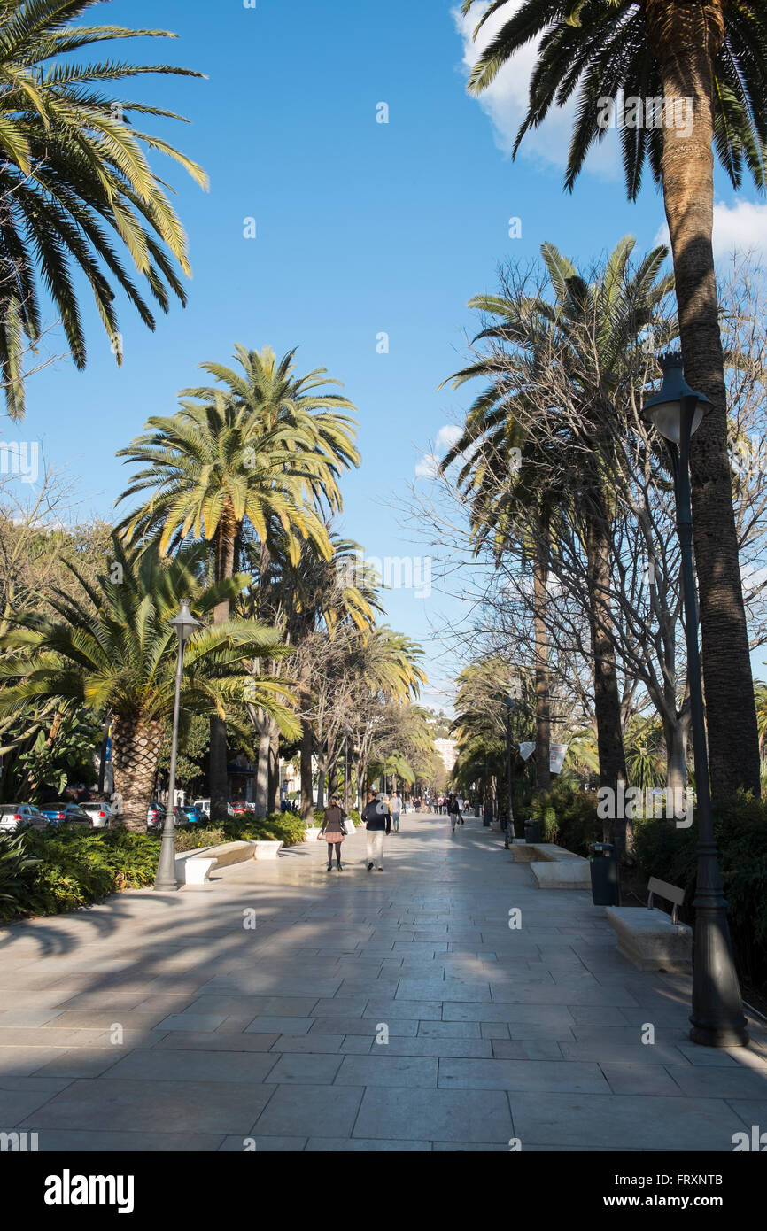 Paseo del parque. Málaga Stock Photo - Alamy