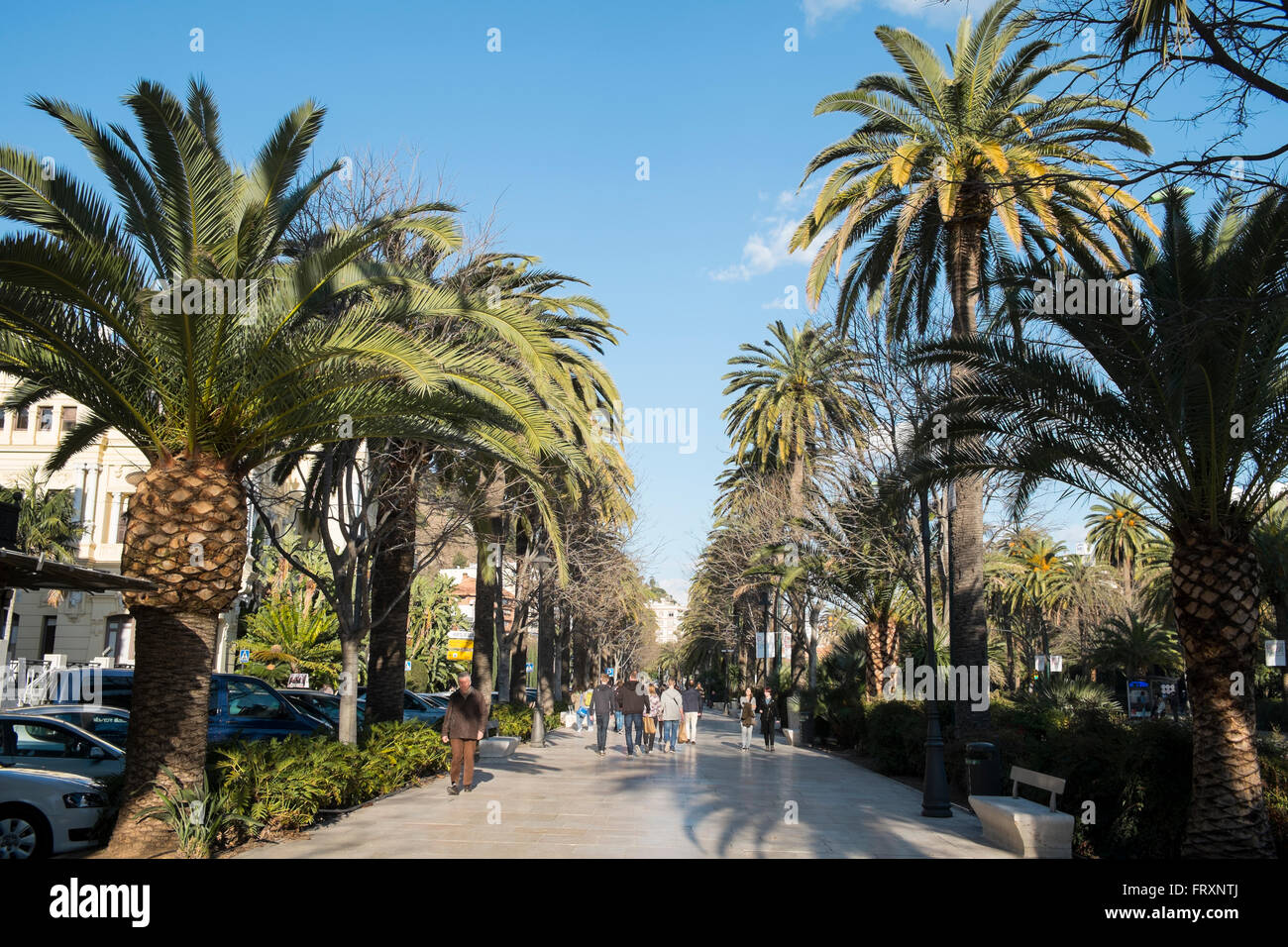 Paseo del parque. Málaga Stock Photo - Alamy