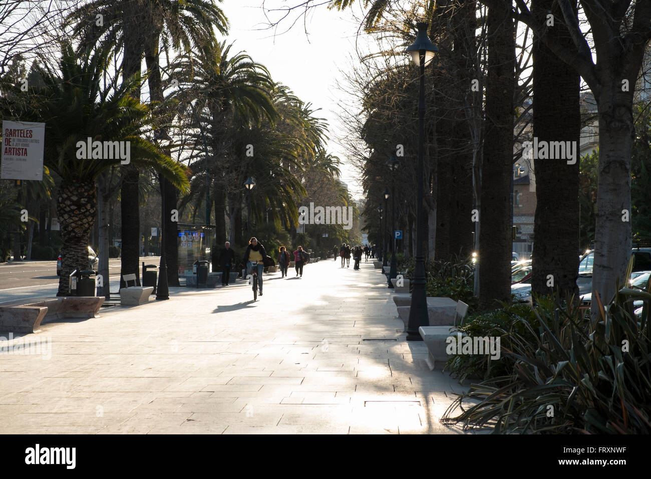 Paseo del parque. Málaga Stock Photo - Alamy