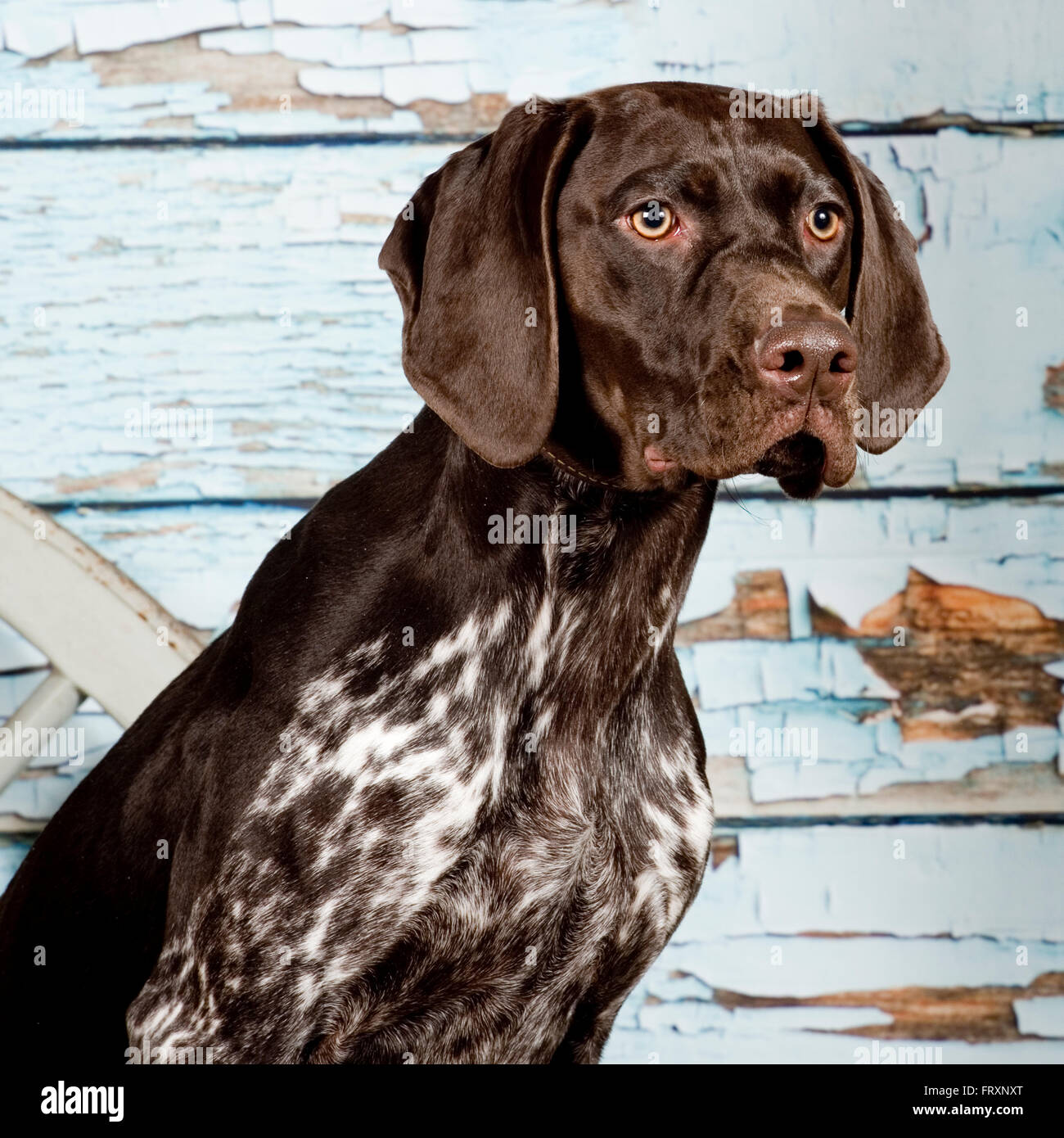 German Barn High Resolution Stock Photography and Images - Alamy