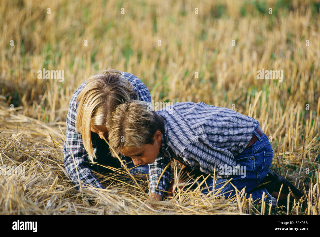 Children in a field hi-res stock photography and images - Alamy