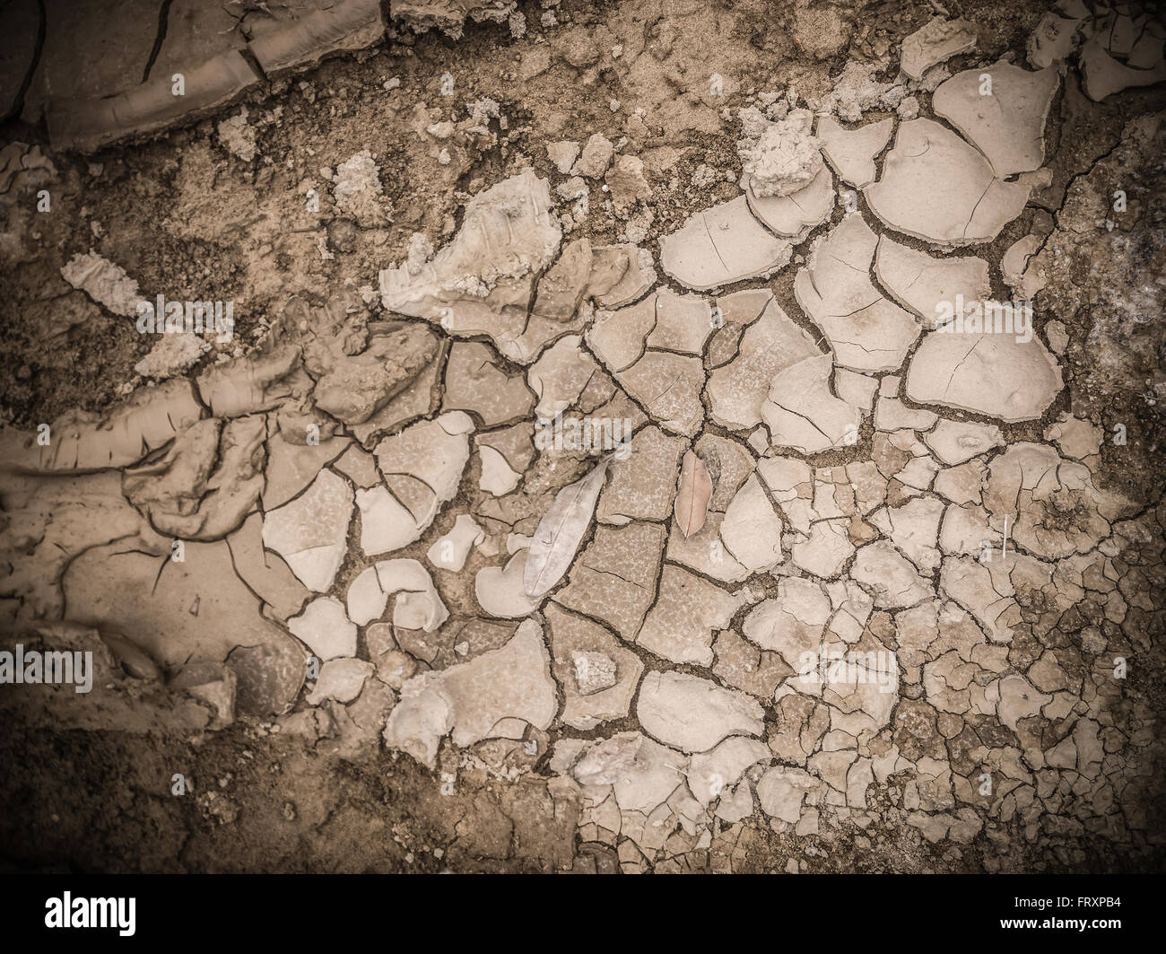 Soil texture hi-res stock photography and images - Alamy