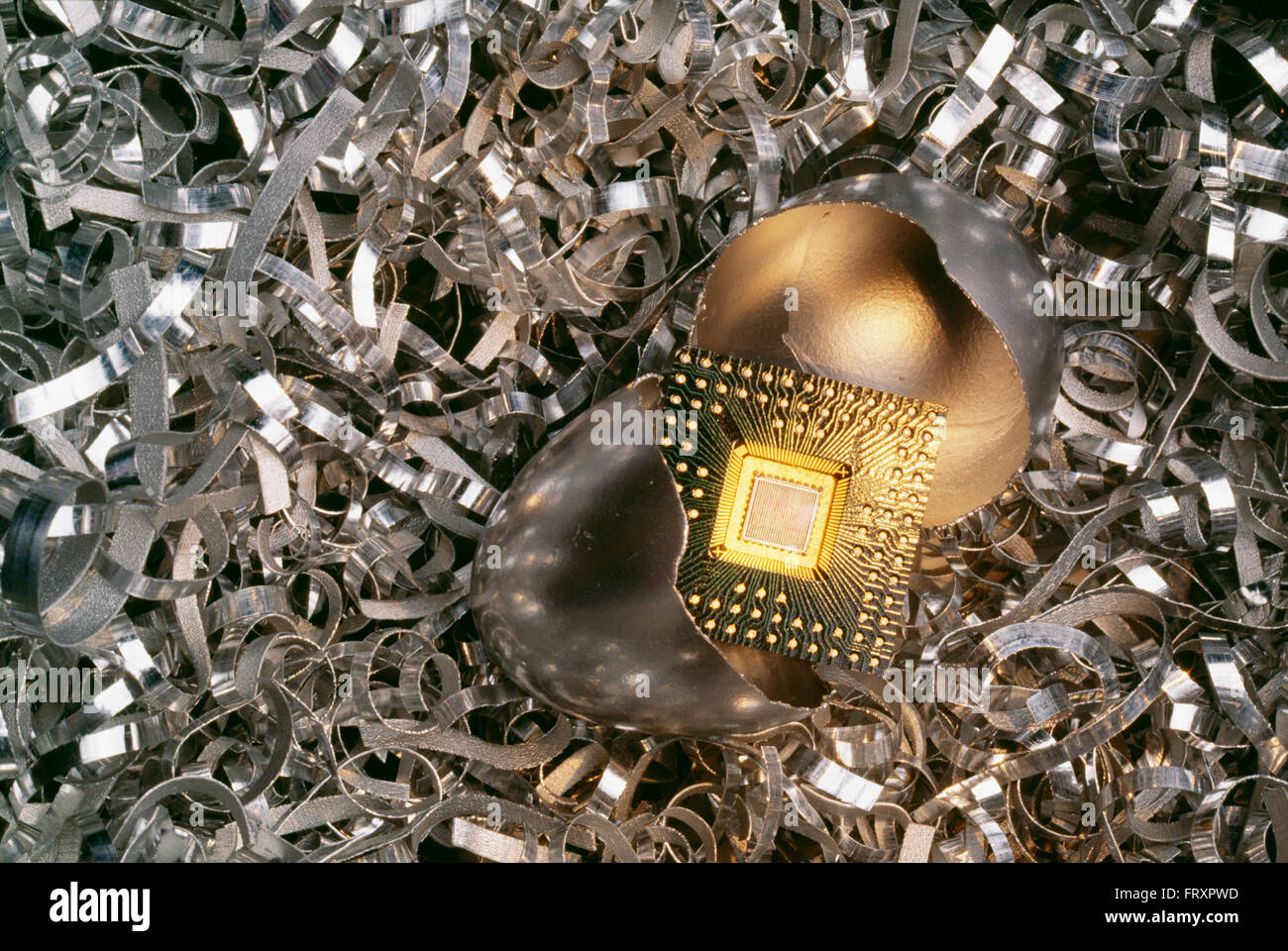 Nest With A Broken Silver Egg Containing A Micro Chip Stock Photo - Alamy