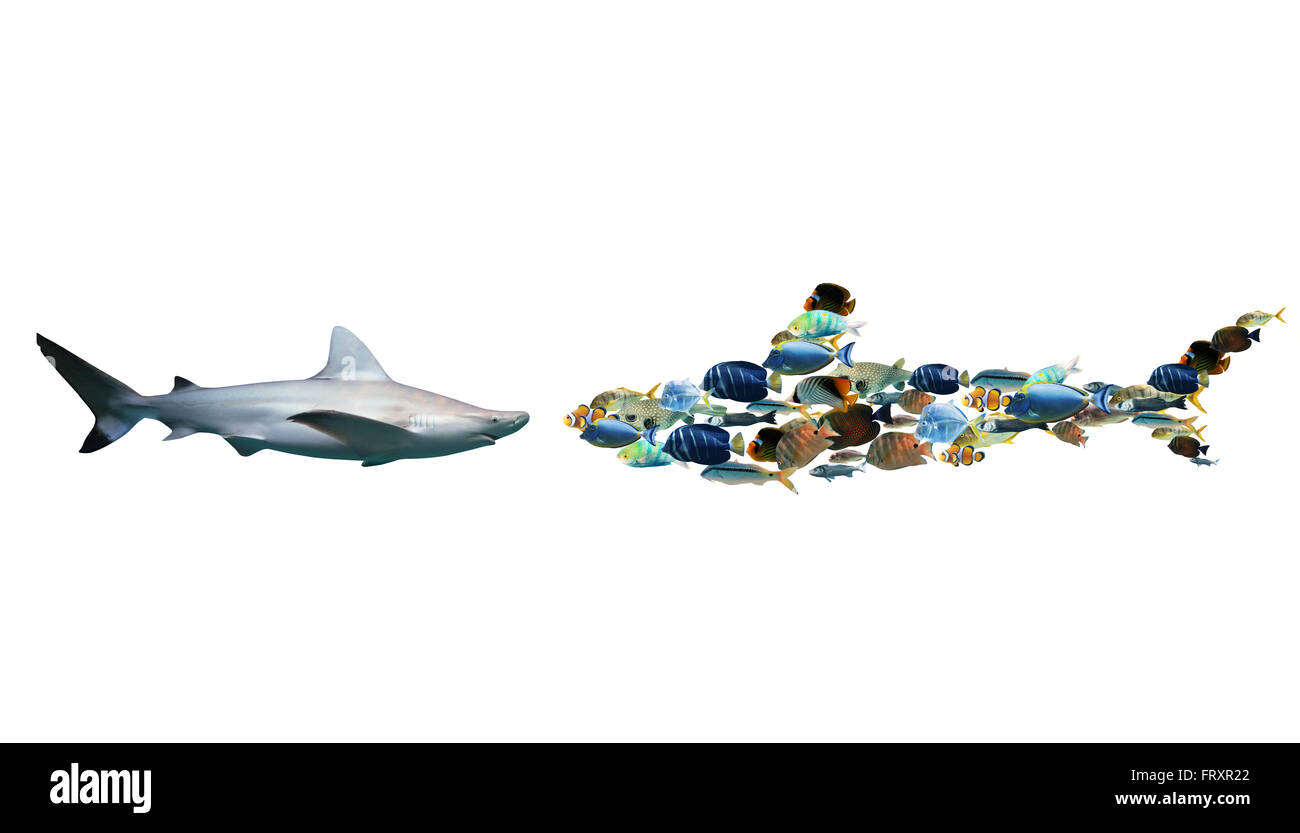 The strength of the union Stock Photo - Alamy