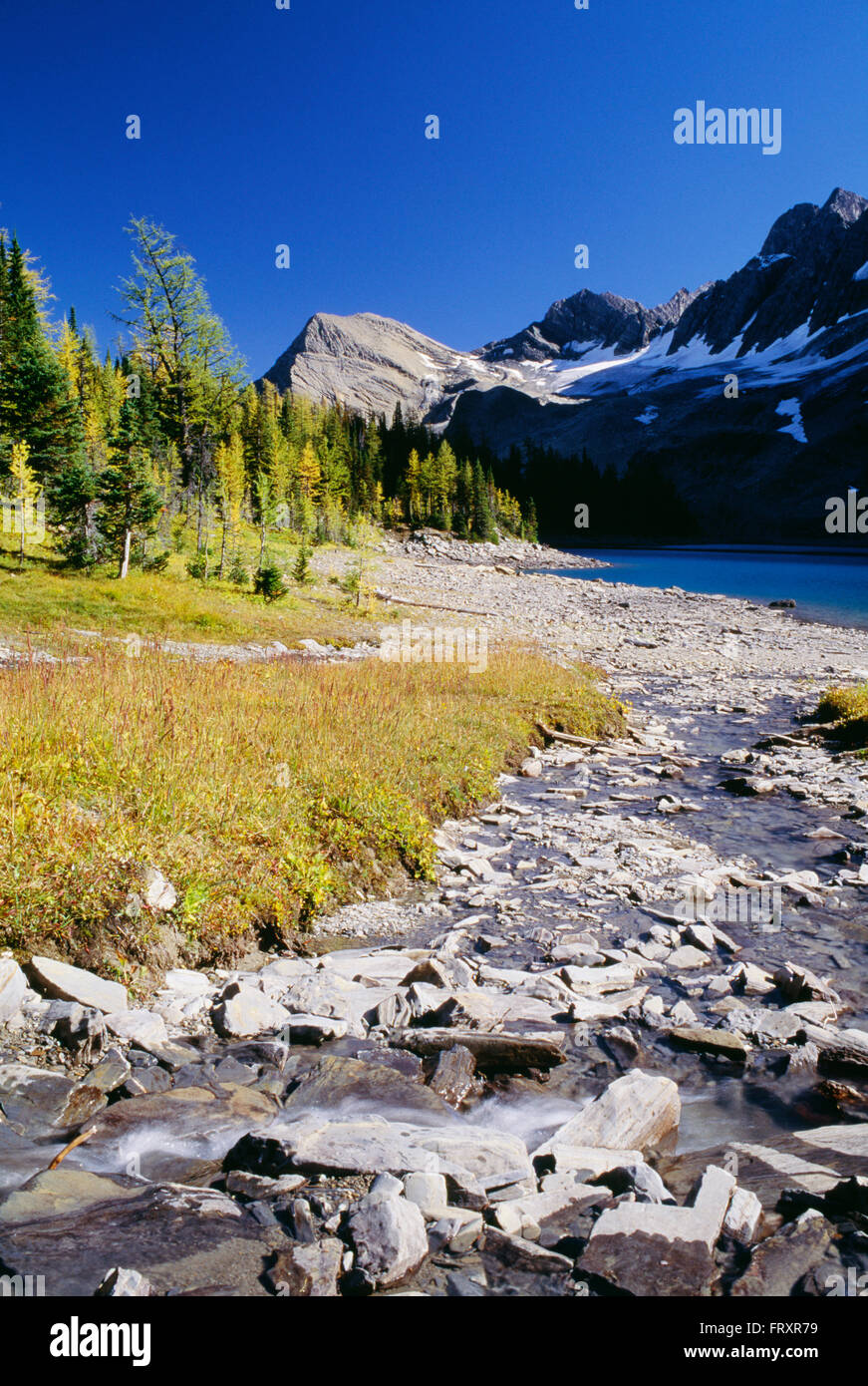 Floe lake mountain kootenay hi-res stock photography and images - Alamy