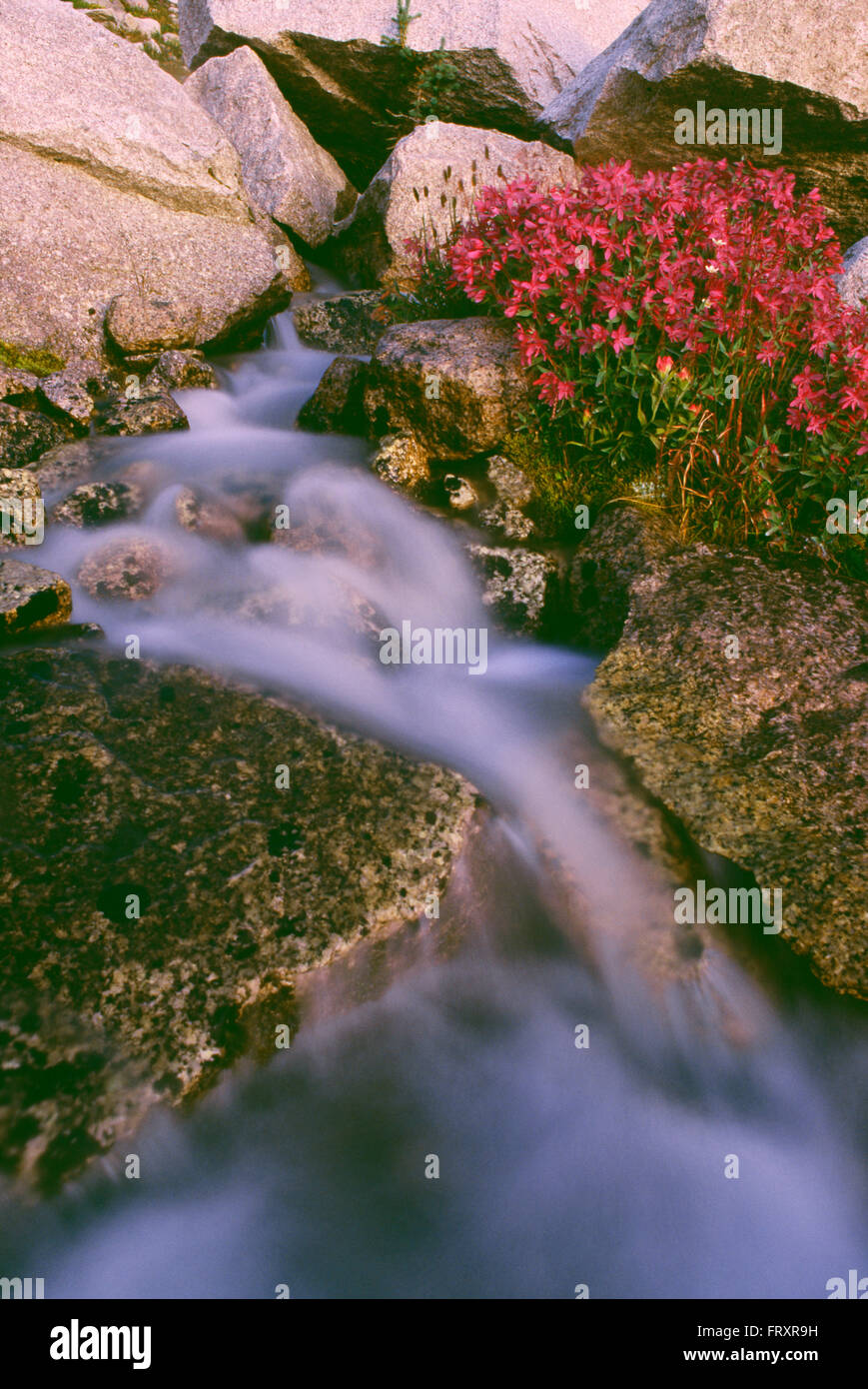 Bugaboos provincial park hi-res stock photography and images - Alamy