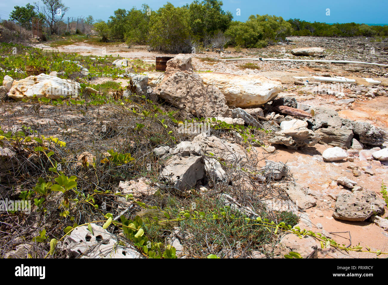 Landscape at One Arm Point, Ardyloon, or Bardi in Kimberley region of ...