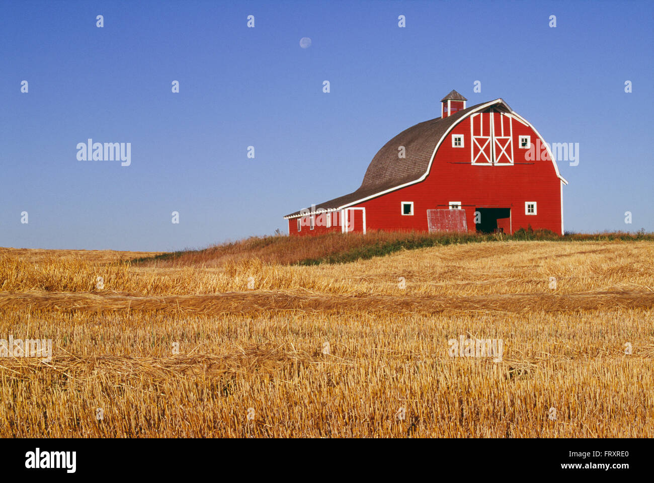 Red Barn in Field, Alberta, Canada Stock Photo - Alamy