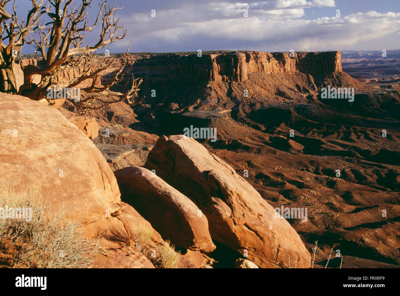 Green River Overlook, Canyonlands National Park, Utah, Usa Stock Photo - Alamy