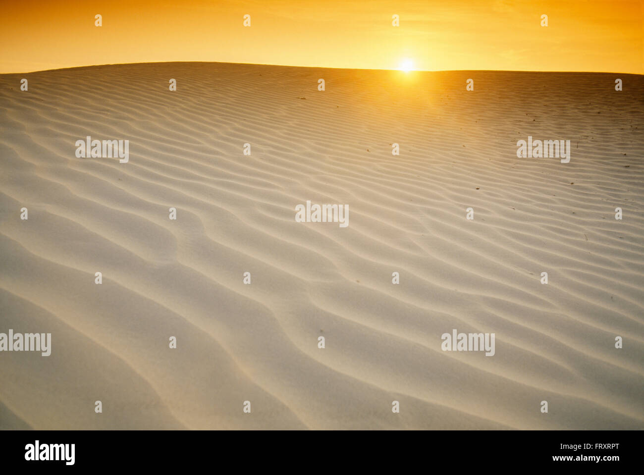 Sand Dunes at Sunrise, Great Sand Hills, Saskatchewan, Canada Stock ...