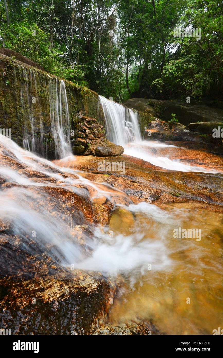 Beautiful water stream in tropical rain forest located at Malaysia ...