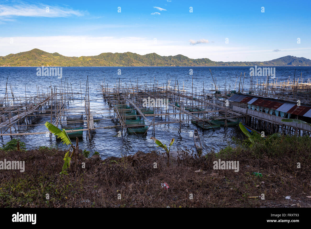 Fish farm and hatchery or nursery, Lake Tondano, Sulawesi, Indonesia ...