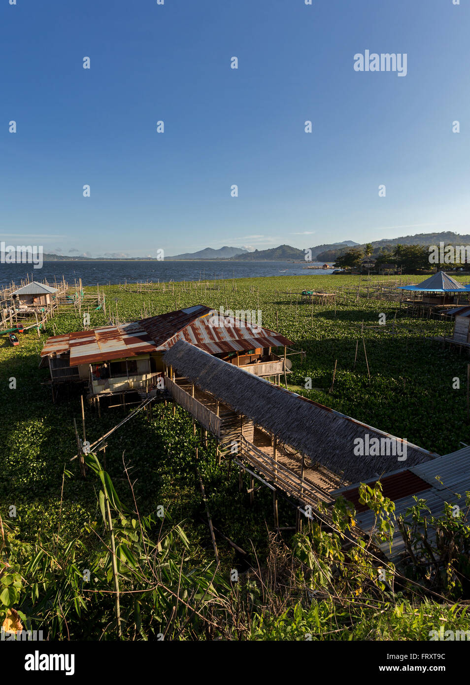 Fish farm and hatchery or nursery, Lake Tondano, Sulawesi, Indonesia ...