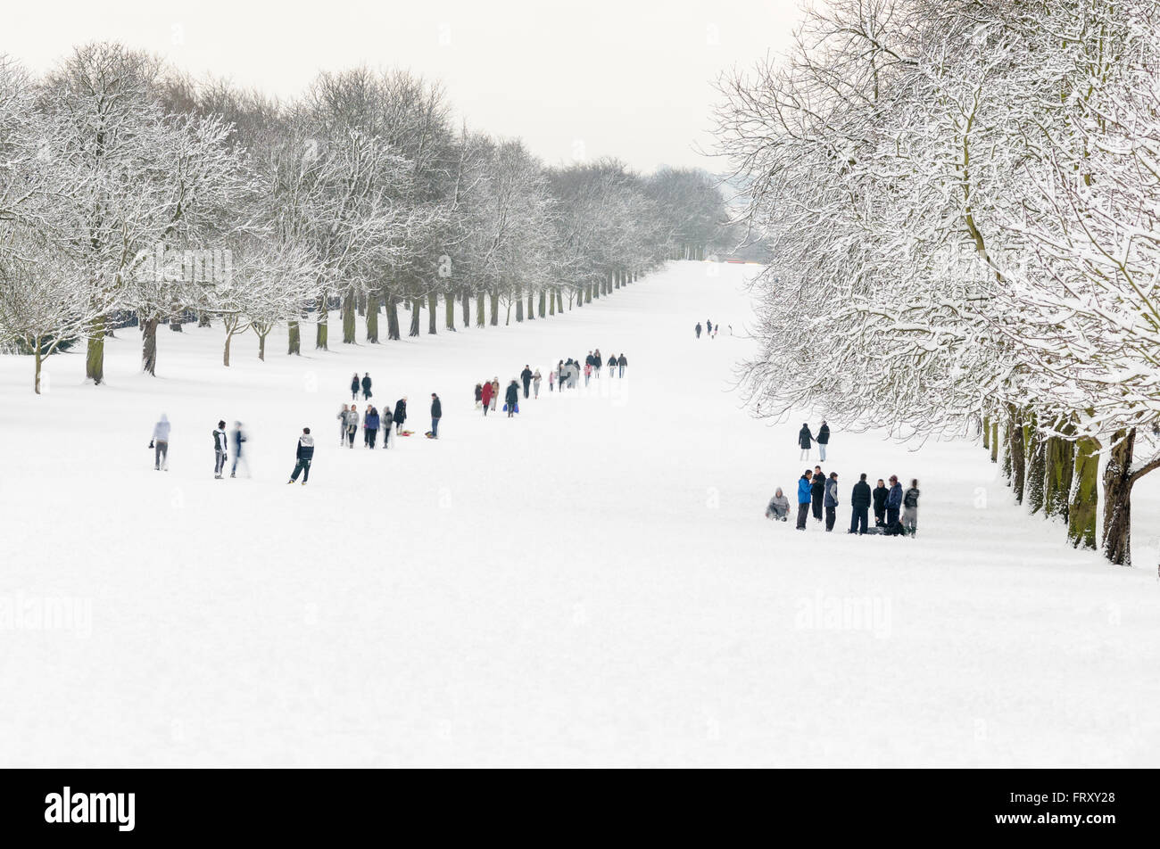 Windsor great park long walk winter hi-res stock photography and images ...