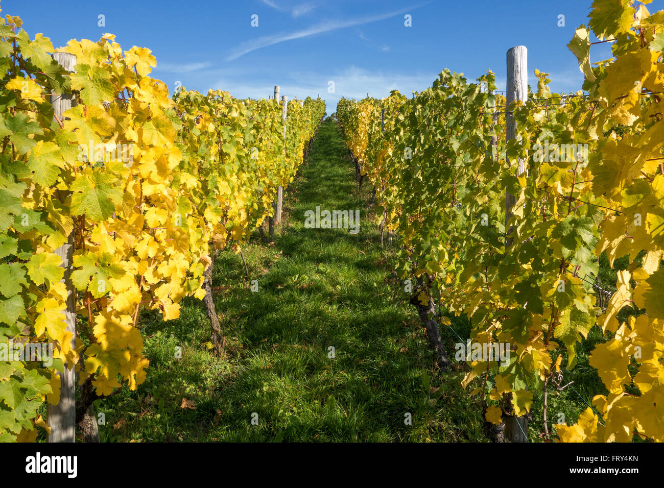 Straight green hill hi-res stock photography and images - Alamy