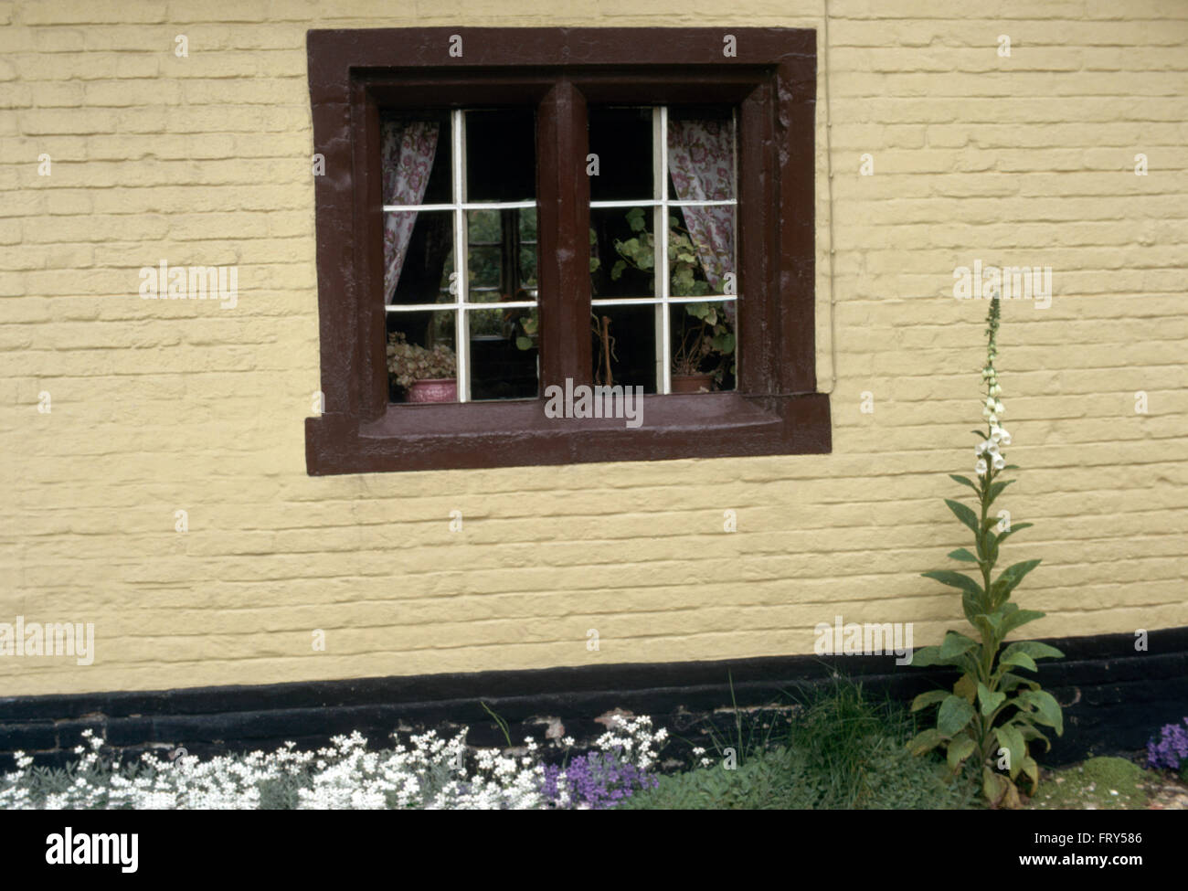 Cream painted house hi-res stock photography and images - Alamy
