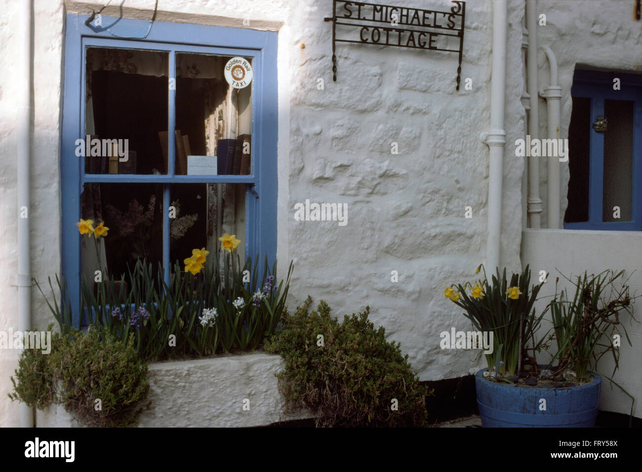 Cornish daffodils hi-res stock photography and images - Alamy