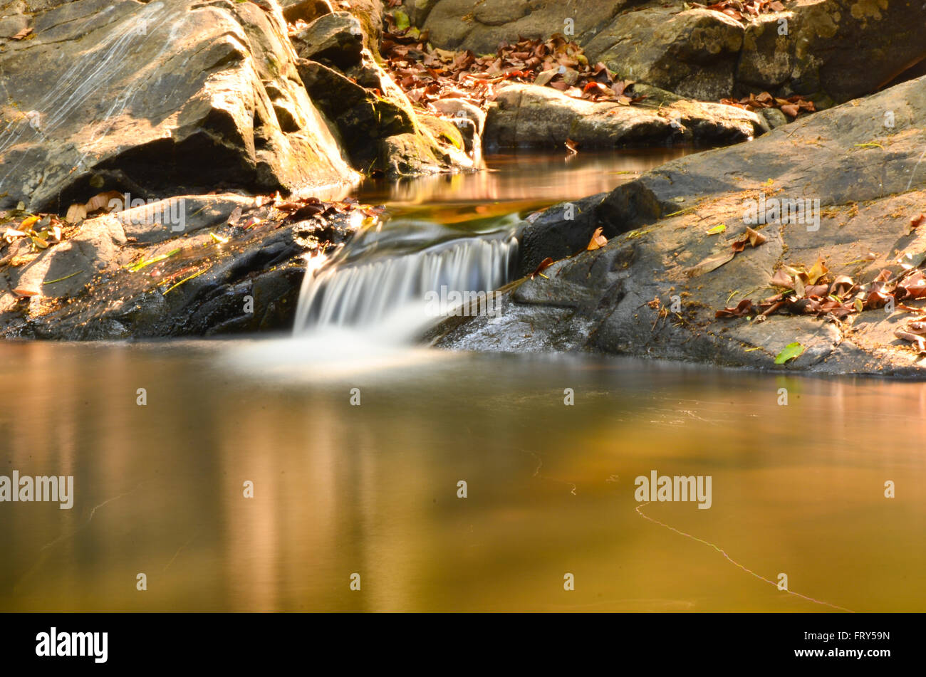 Tambdi surla waterfalls goa hi-res stock photography and images - Alamy