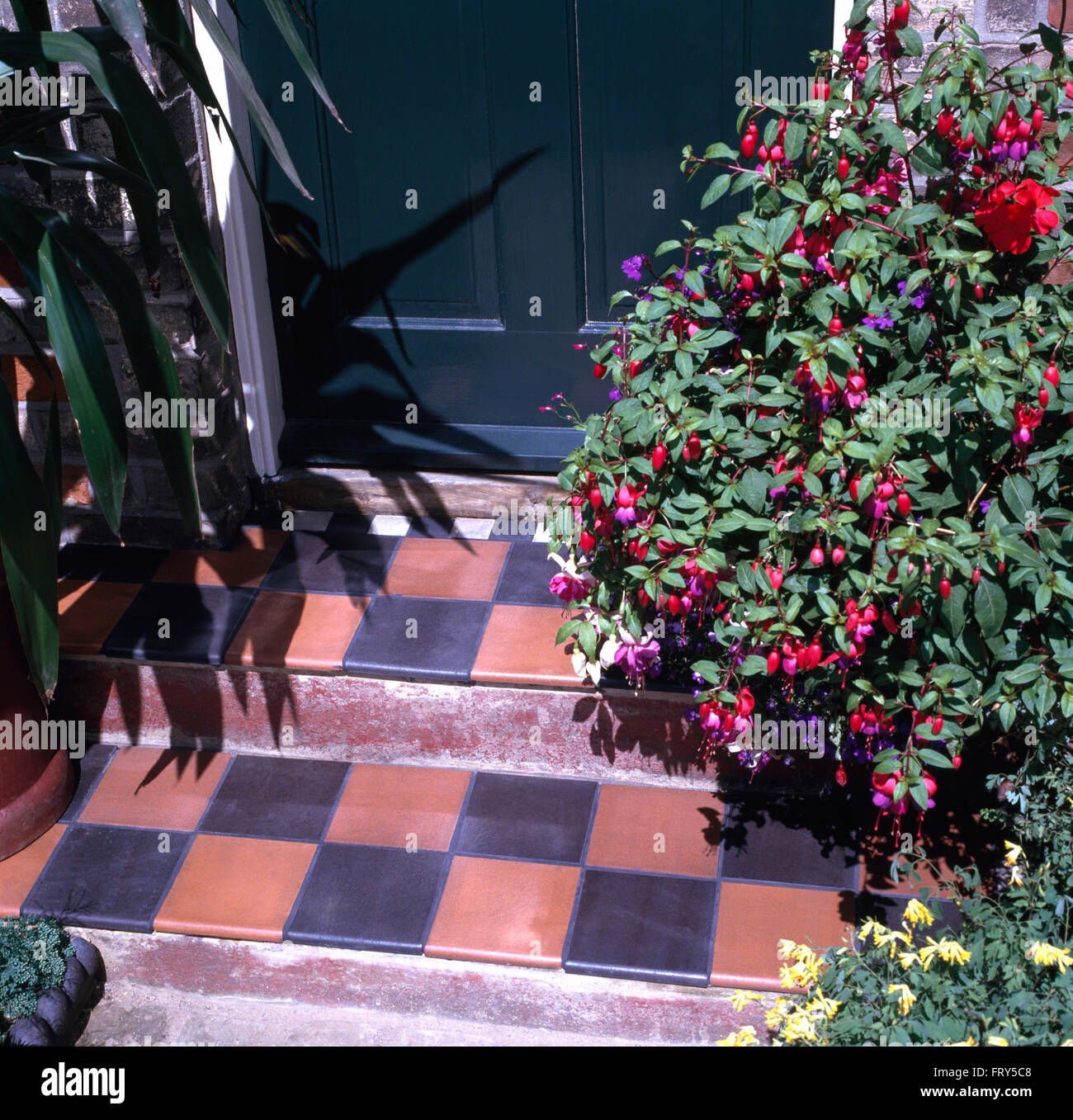 Tiled doorstep hi-res stock photography and images - Alamy