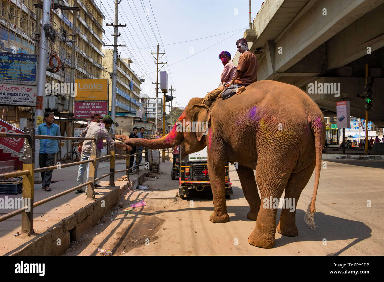 Guwahati, Assam, India. 6th Feb, 2016. People offering fruits to a ...