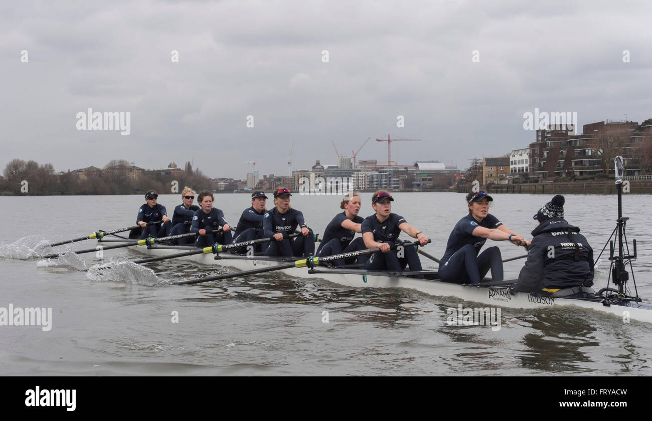 Steve williams rowing hi-res stock photography and images - Alamy