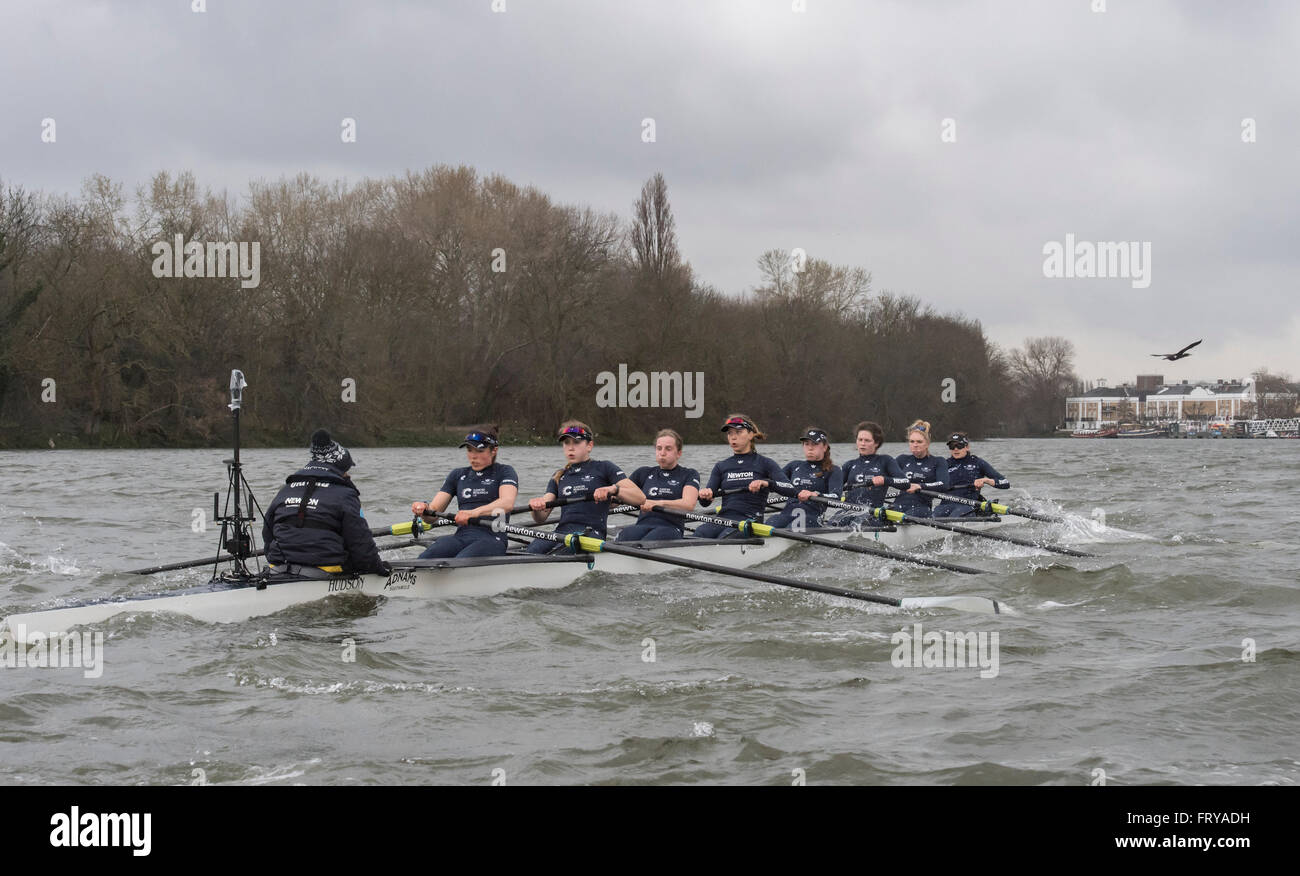 Steve williams rowing hi-res stock photography and images - Alamy