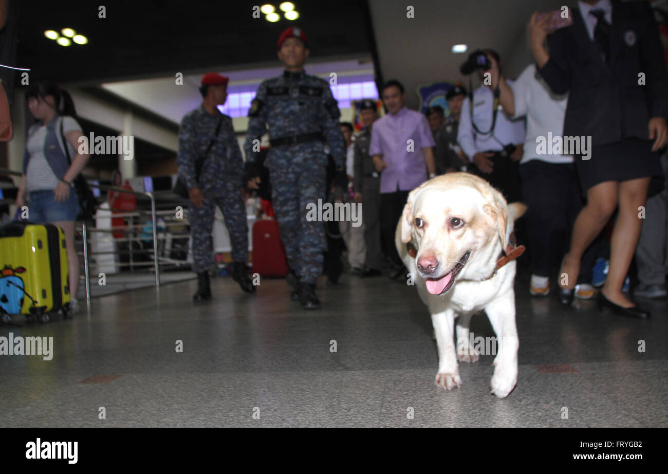 Thailand, Thailand. 25th Mar, 2016. A Thai K9 unit patrols and dog ...