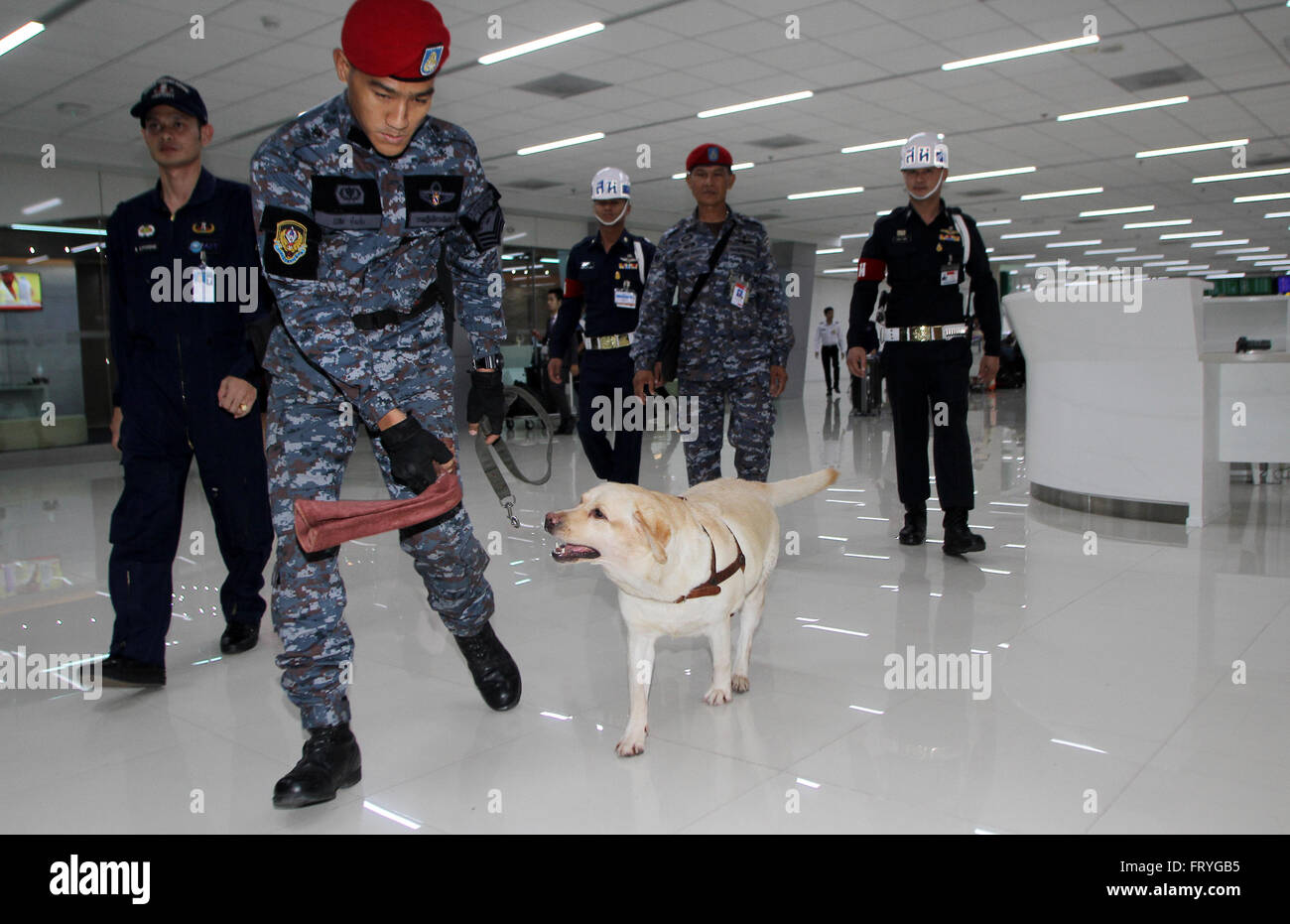 Thailand, Thailand. 25th Mar, 2016. A Thai K9 unit patrols and dog ...